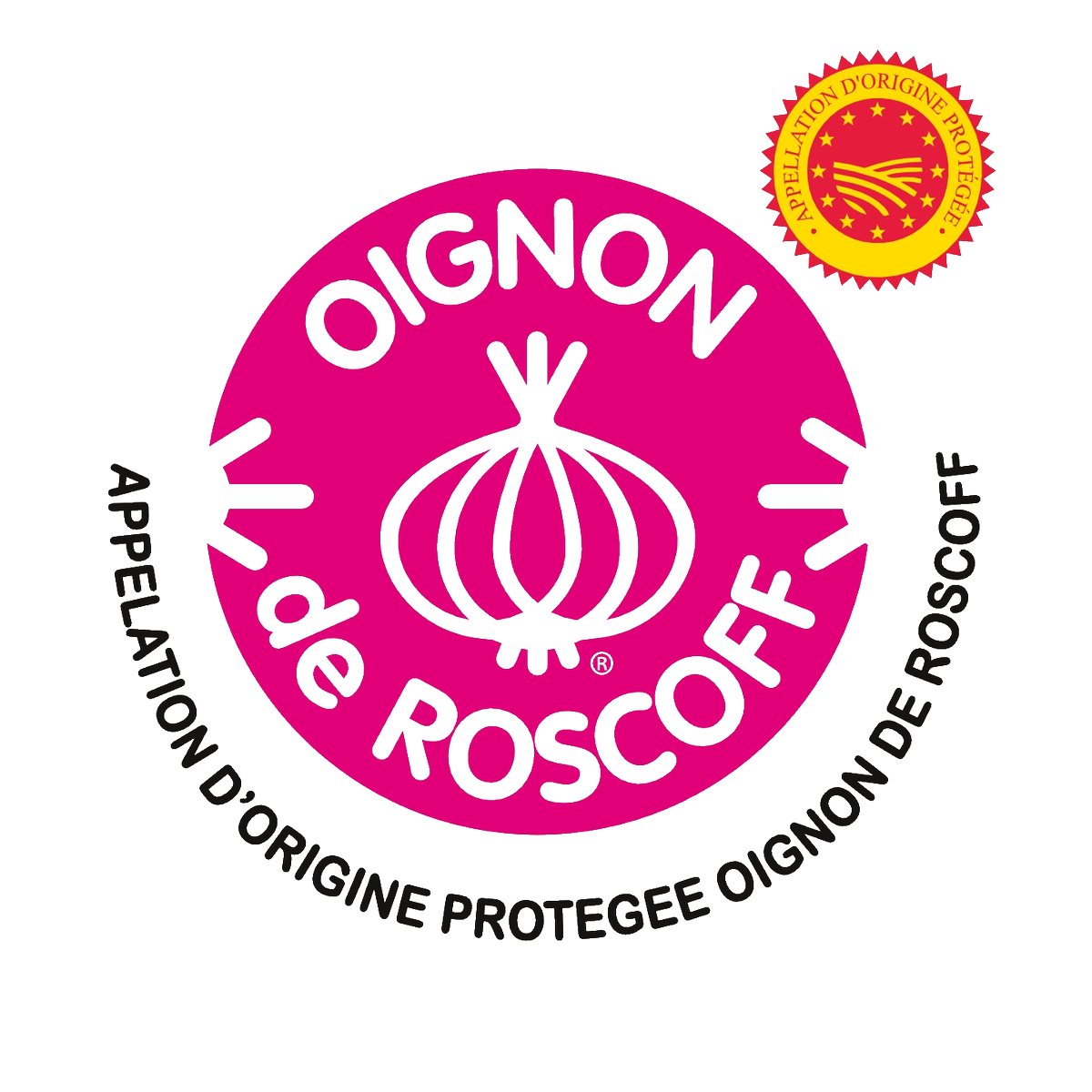 Oignon de Roscoff AOP – Ouest Délices, blog culinaire