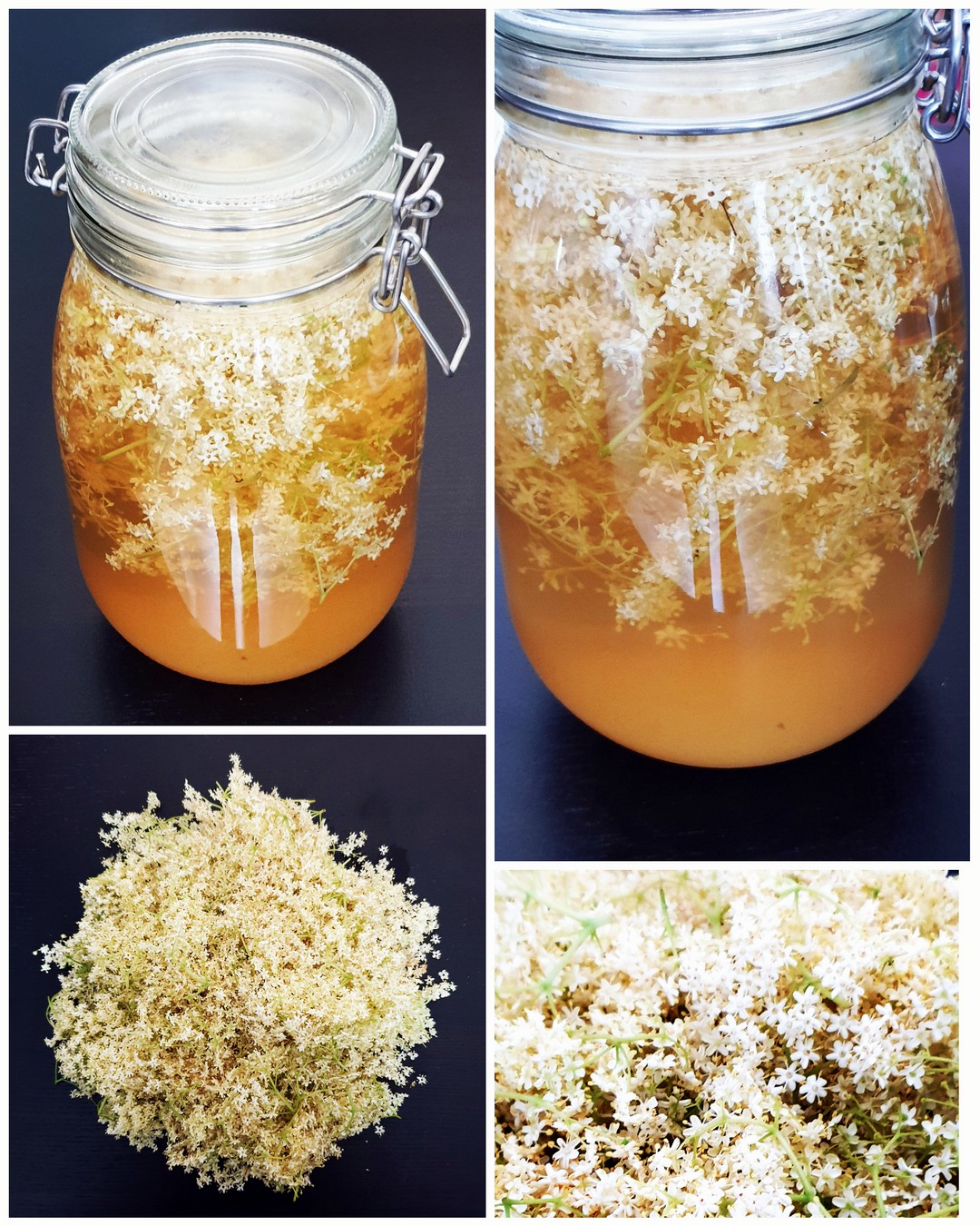 Recettes avec des fleurs de sureau – Ouest Délices, blog culinaire