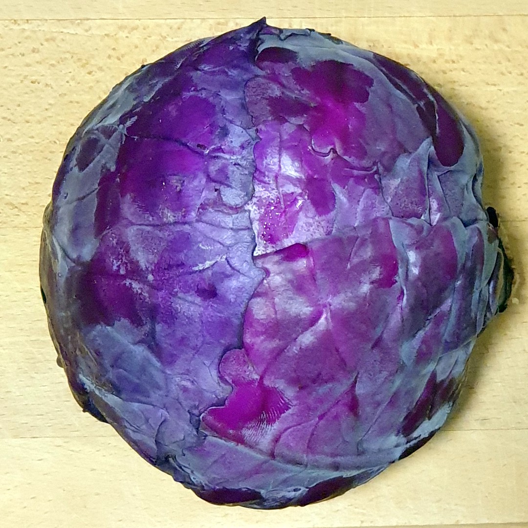 Choux rouge en lacto fermentation – Ouest Délices, blog culinaire