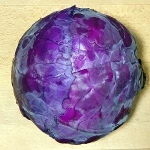 Choux rouge en lacto fermentation – Ouest Délices, blog culinaire