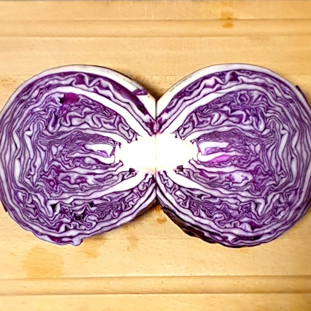 Choux rouge en lacto fermentation – Ouest Délices, blog culinaire