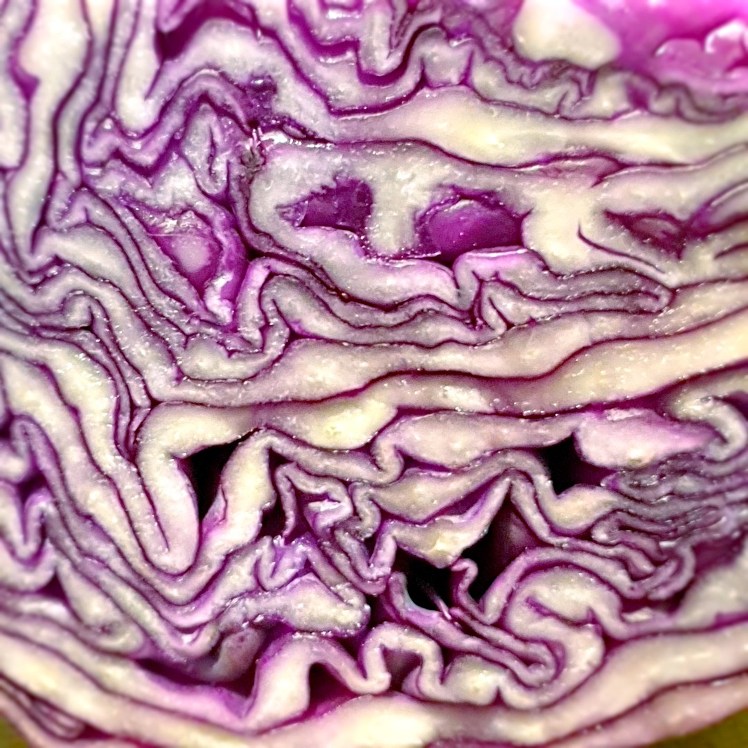 Choux rouge en lacto fermentation – Ouest Délices, blog culinaire