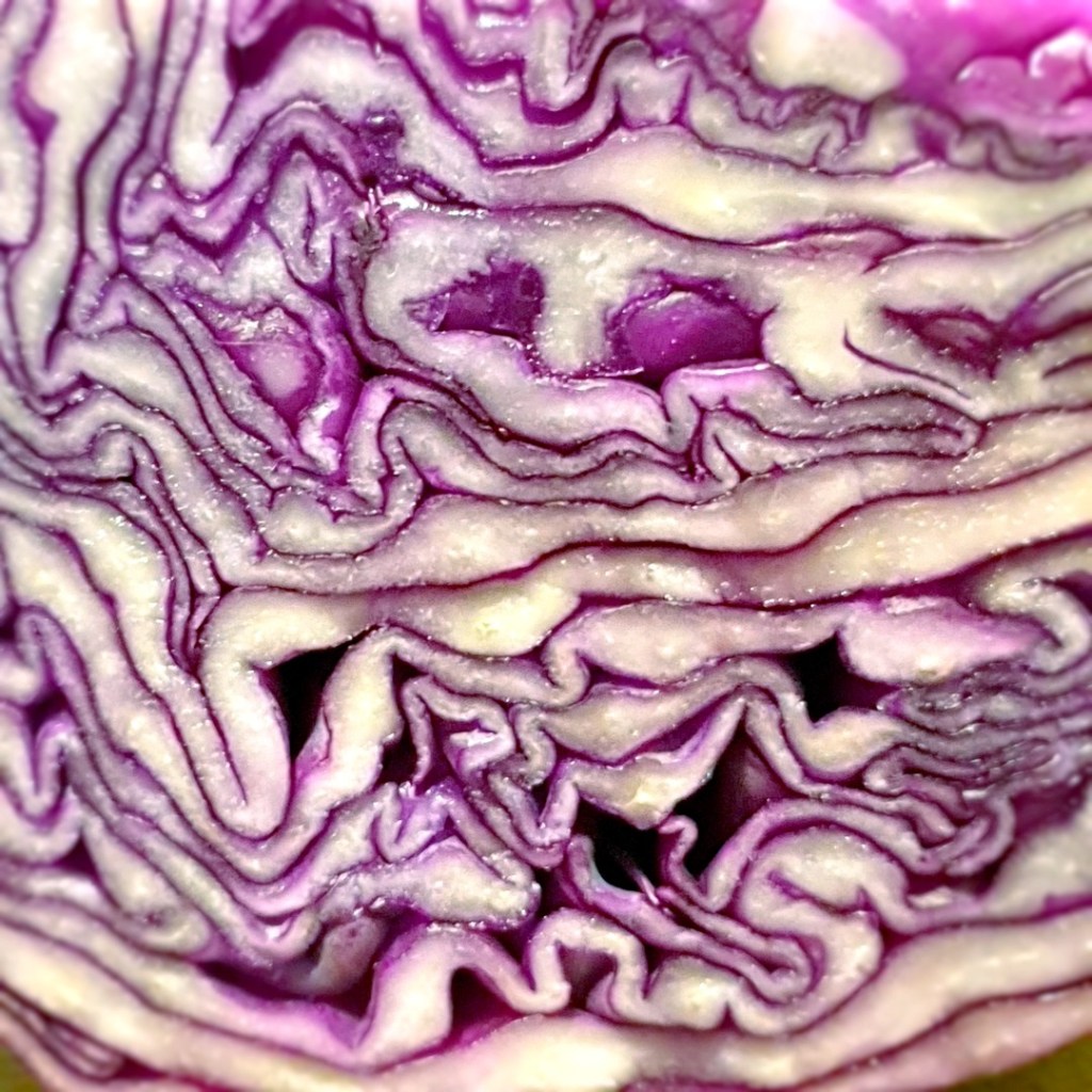 Choux rouge en lacto fermentation – Ouest Délices, blog culinaire