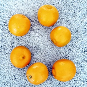 Citrons confits beldis – Ouest Délices, blog culinaire