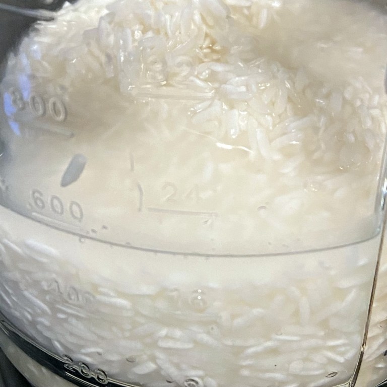 Pain au riz – Ouest Délices, blog culinaire